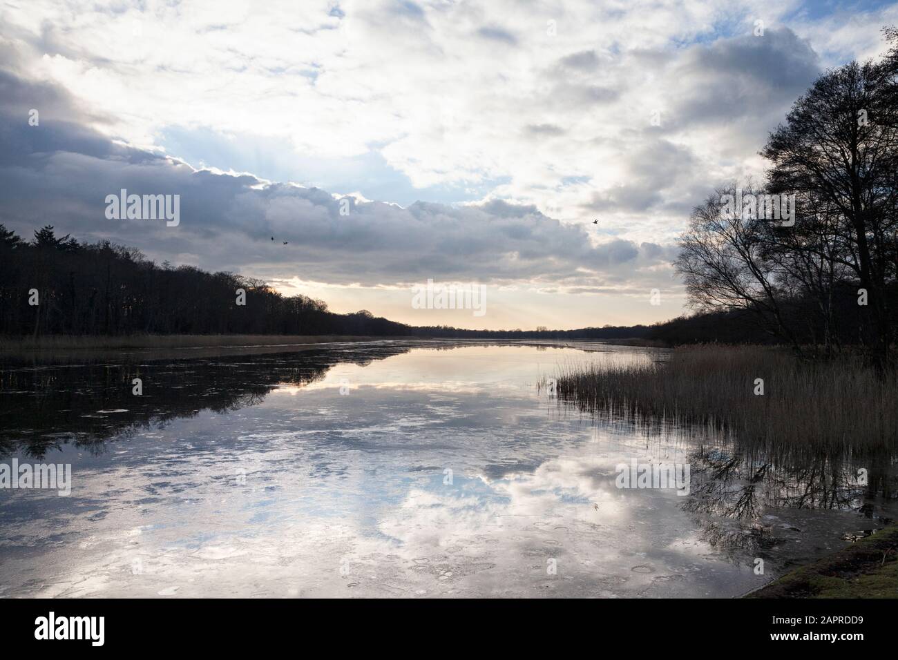Freezing cold watching the winter sunset at The Eels Foot, Ormesby ...