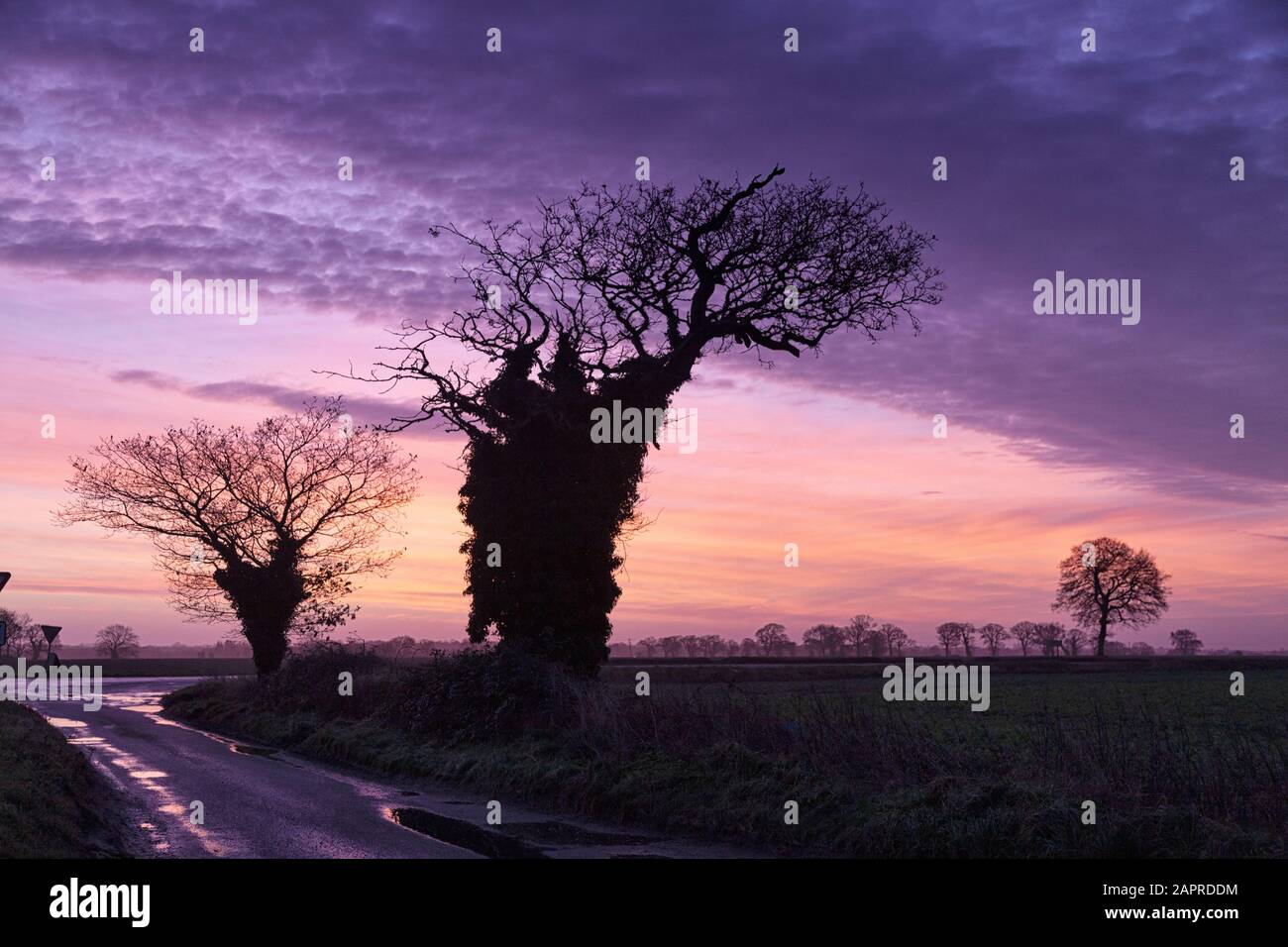 A winter's dawn over rural Norfolk countryside Stock Photo - Alamy