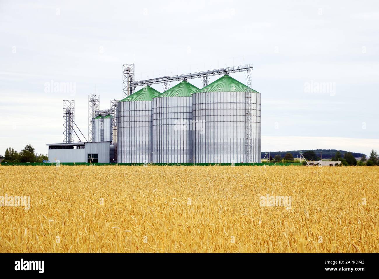Grain silo complex hi-res stock photography and images - Alamy