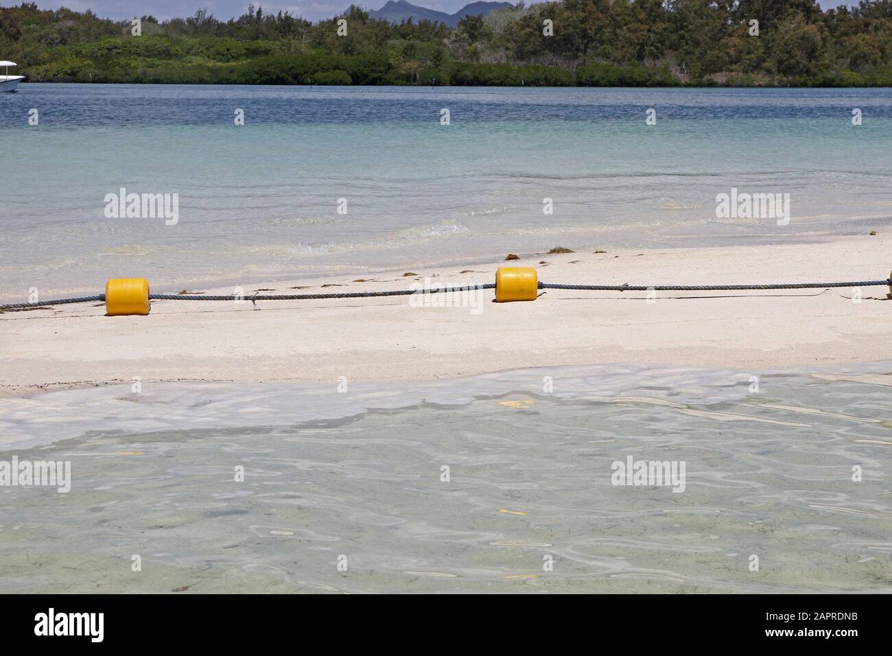 Buoy line along beach with and mangroves in the background, Mauritius ...