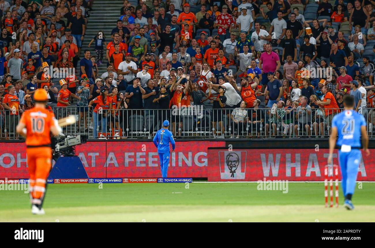 Cricket crowd catch hi-res stock photography and images - Alamy