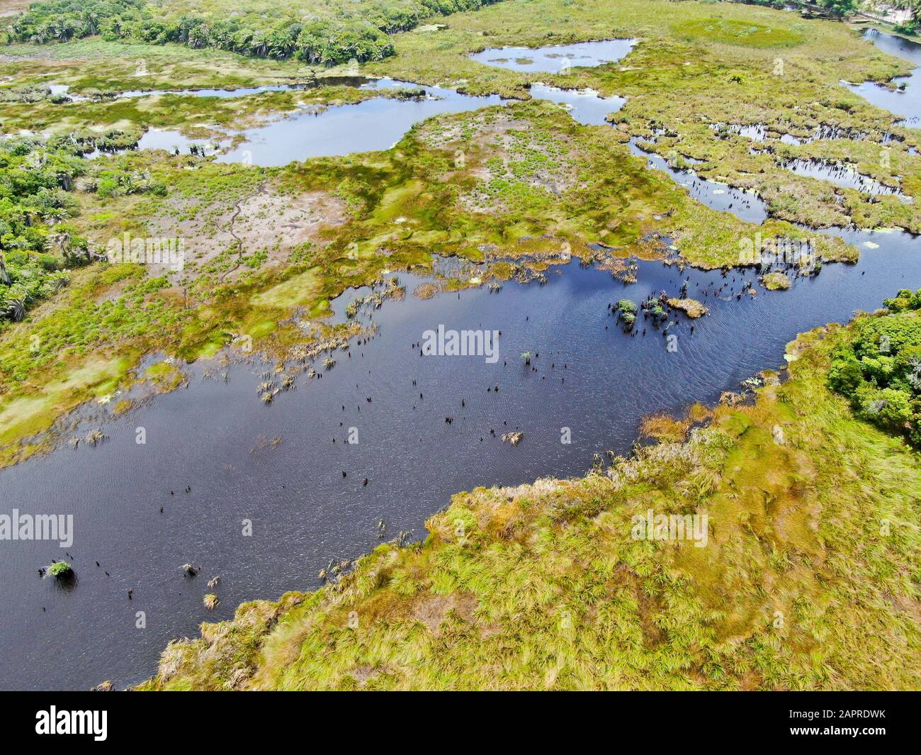 Aerial view of tropical rain forest, jungle in Brazil. Wetland forest ...