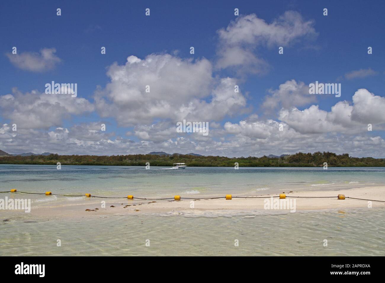 Buoy line along beach with boat and mangroves in the background ...