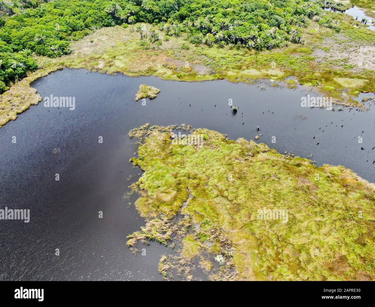 Aerial view of tropical rain forest, jungle in Brazil. Wetland forest ...