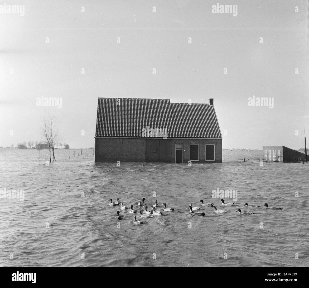 Flooding plates exclusives Date: February 2, 1953 Keywords: Flooding ...