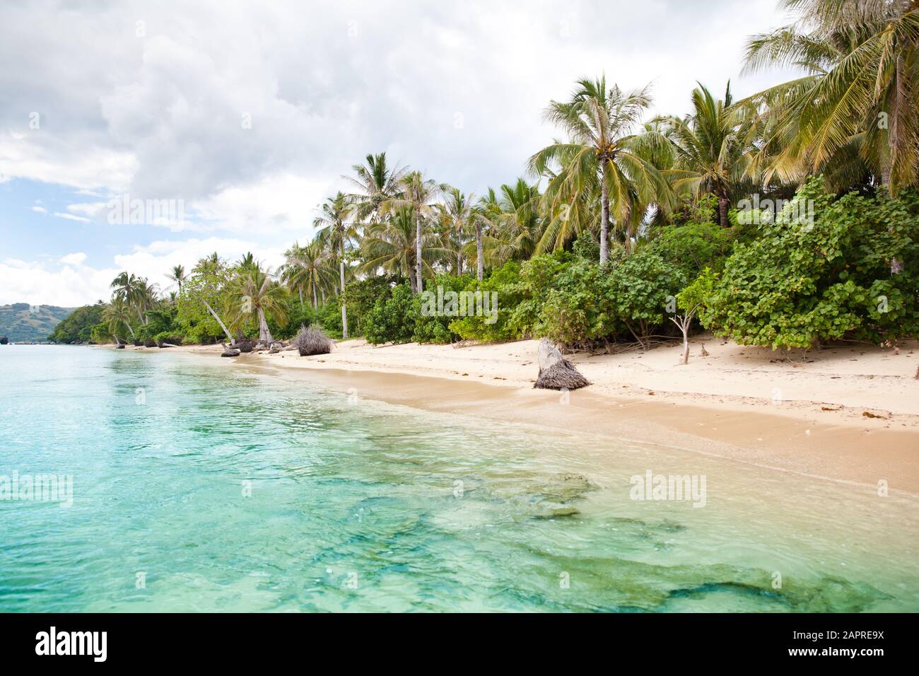 Tropical island with a white sandy beach. The nature of the Philippine ...