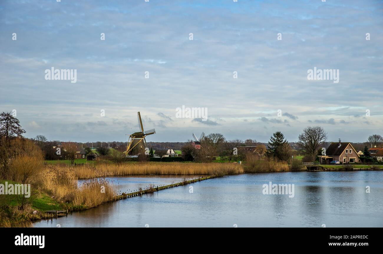 Wide angle shot of a windmill surrounded by trees and greenery in front ...