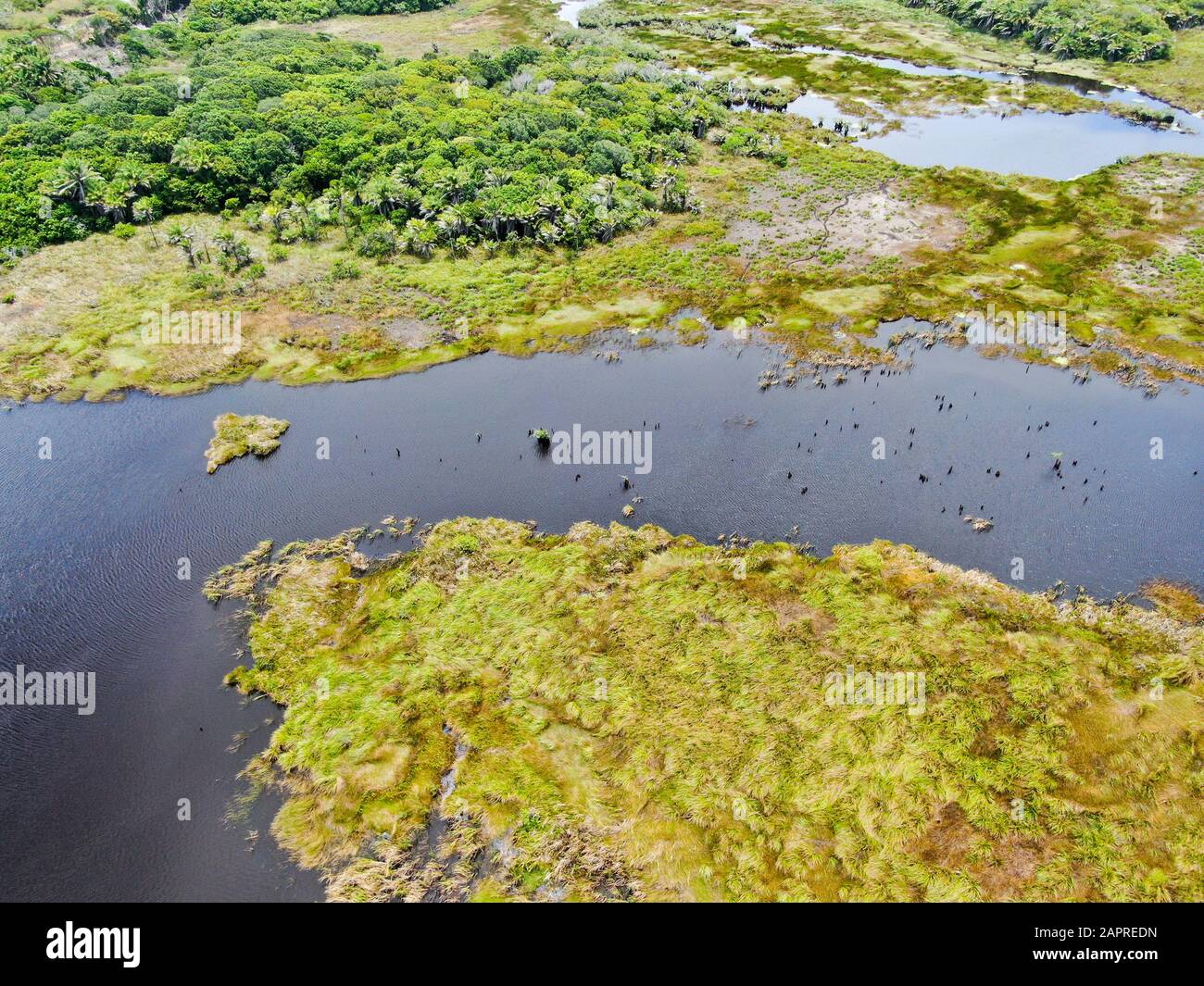 Aerial view of tropical rain forest, jungle in Brazil. Wetland forest ...
