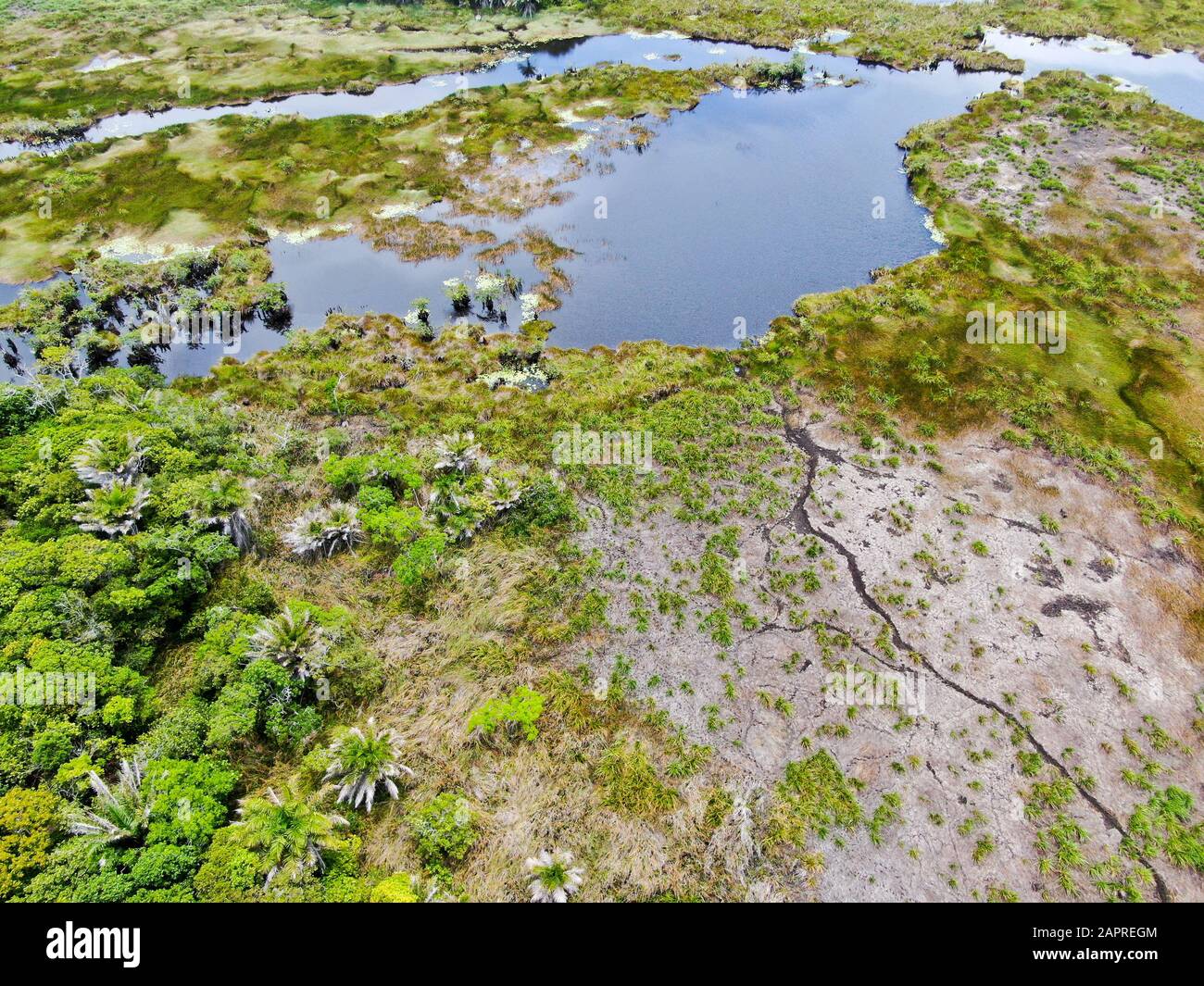 Aerial view of tropical rain forest, jungle in Brazil. Wetland forest ...