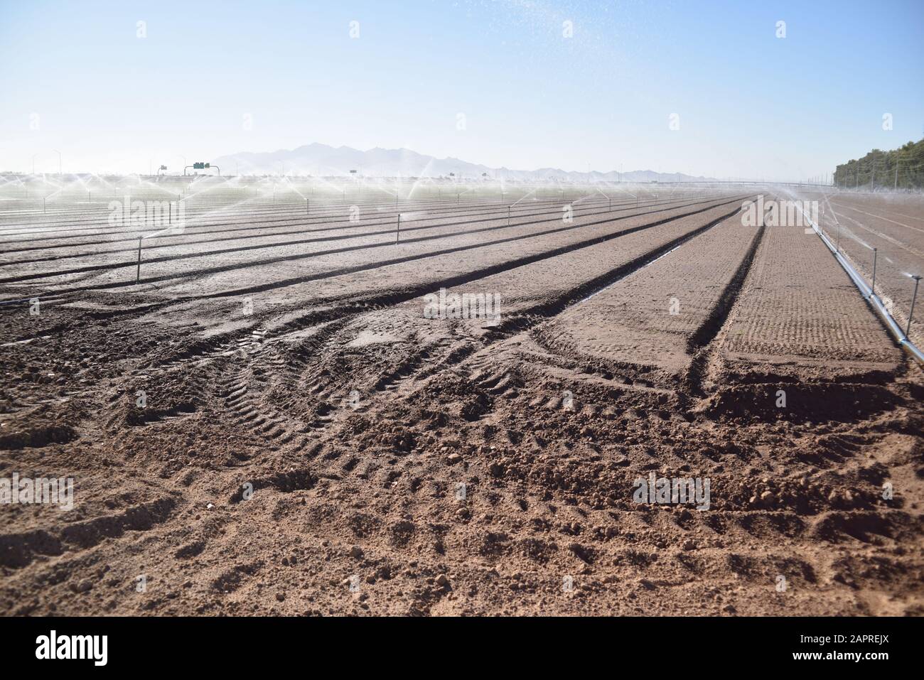 Sprinkler irrigated fields Stock Photo - Alamy