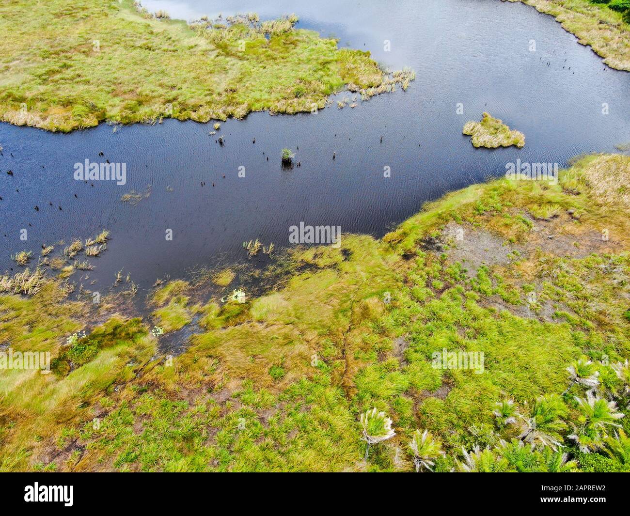 Aerial view of tropical rain forest, jungle in Brazil. Wetland forest ...