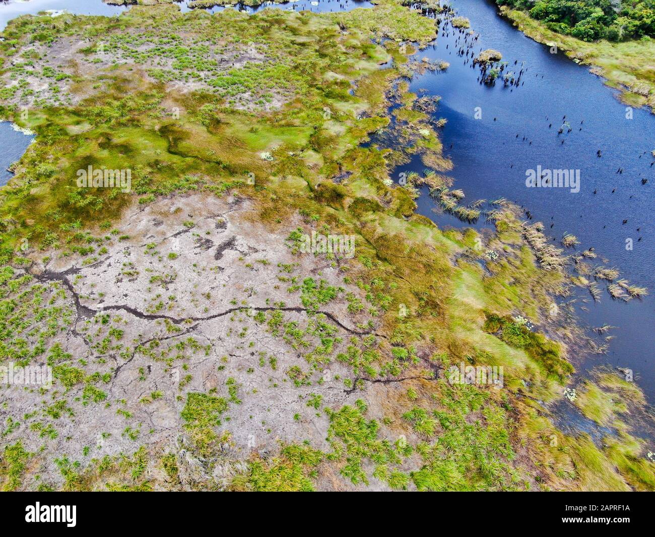 Aerial view of tropical rain forest, jungle in Brazil. Wetland forest ...