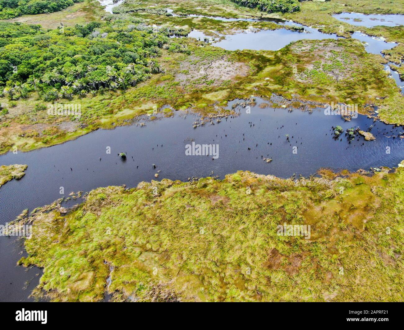 Aerial view of tropical rain forest, jungle in Brazil. Wetland forest ...