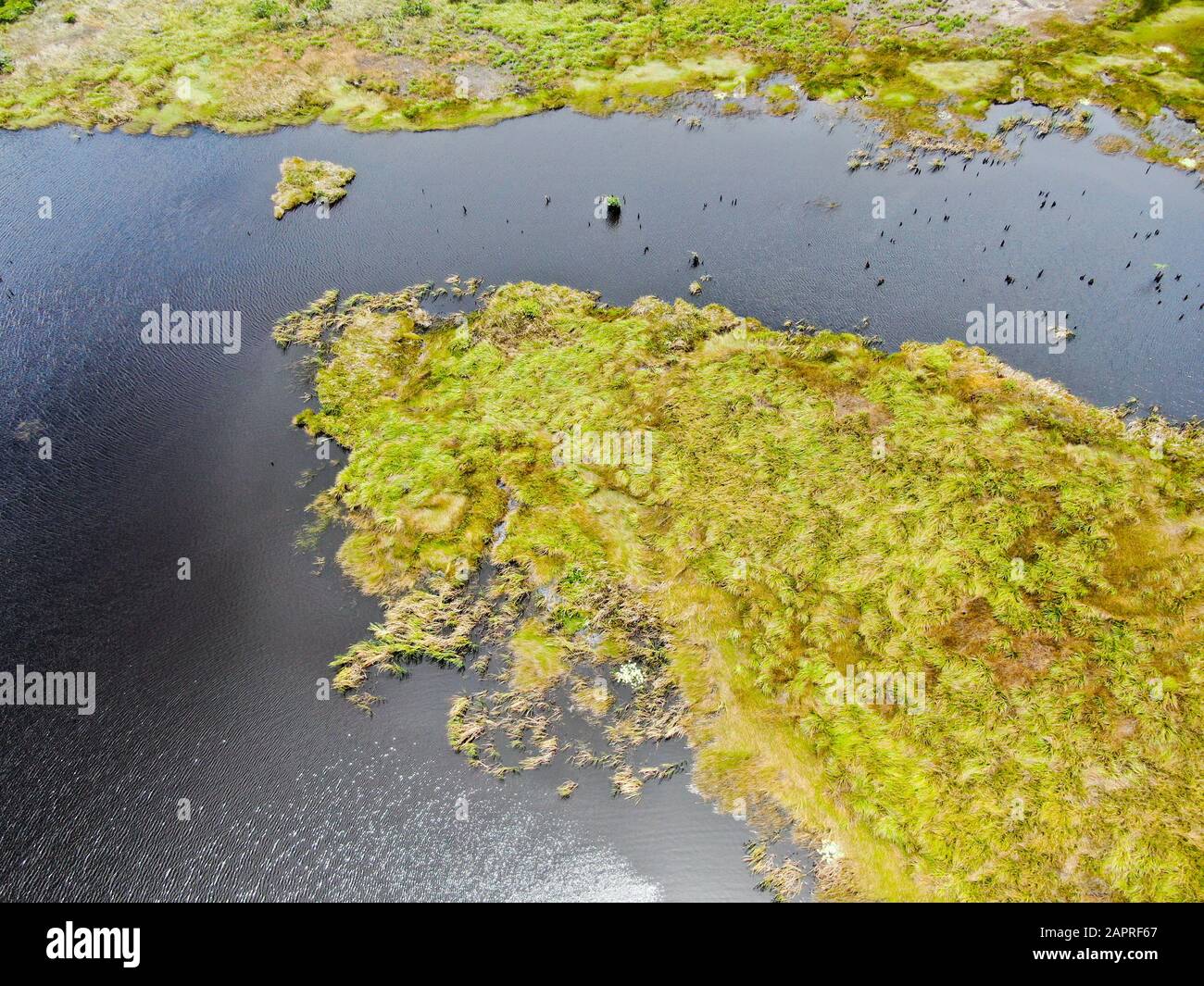 Aerial view of tropical rain forest, jungle in Brazil. Wetland forest ...