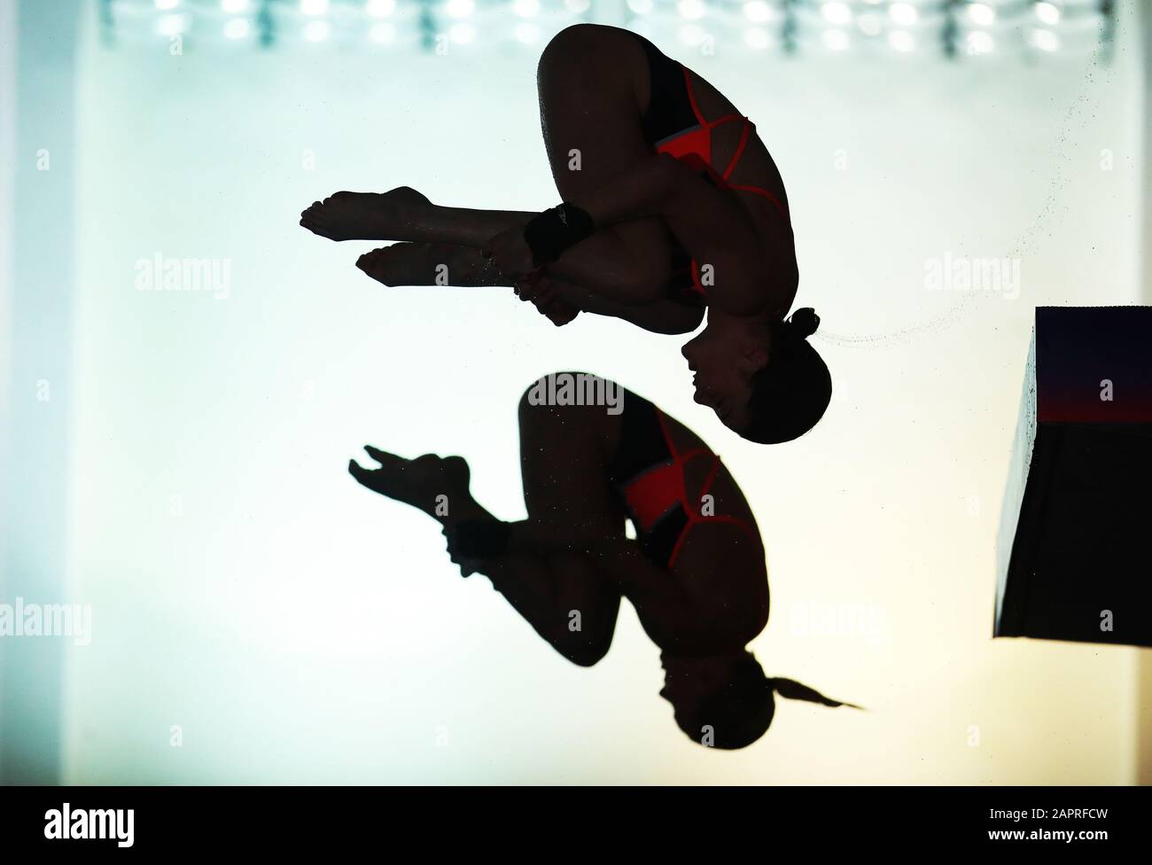 Lois Toulson and Eden Cheng in the Women's 10m Synchro during day one ...