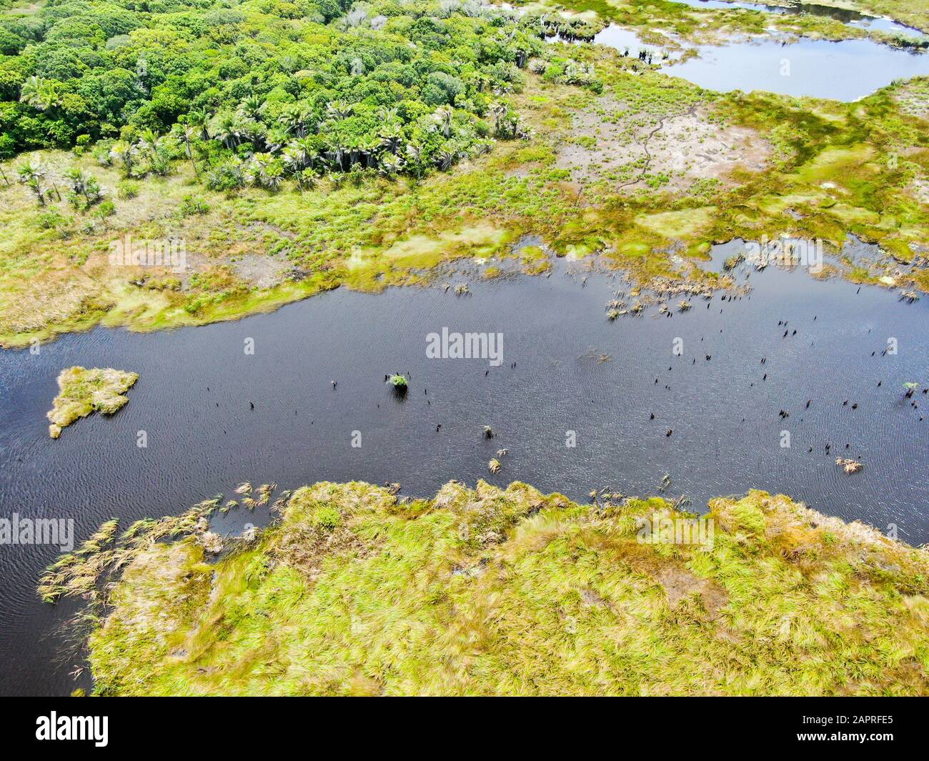 Aerial view of tropical rain forest, jungle in Brazil. Wetland forest ...