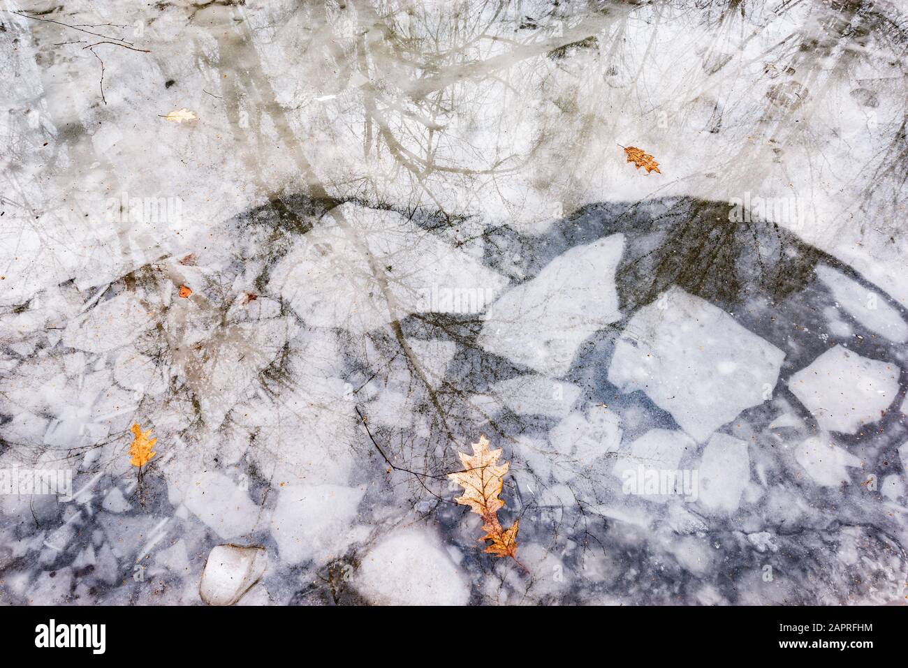 Ice in puddle pieces hi-res stock photography and images - Alamy