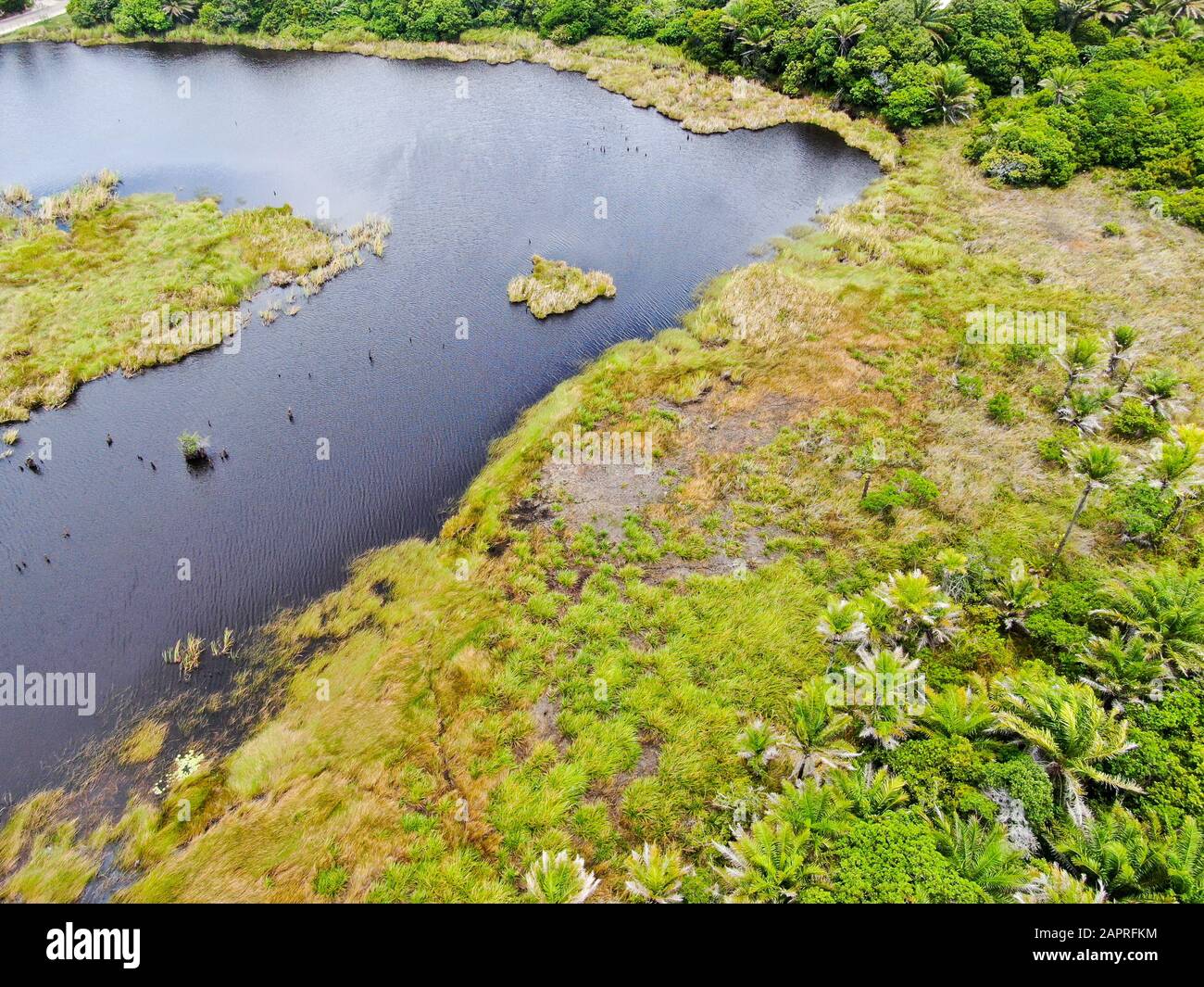 Aerial view of tropical rain forest, jungle in Brazil. Wetland forest ...