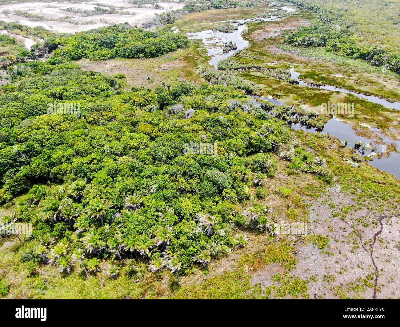 Aerial view of tropical rain forest, jungle in Brazil. Wetland forest ...