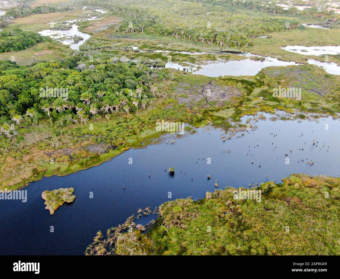 Aerial view of tropical rain forest, jungle in Brazil. Wetland forest ...