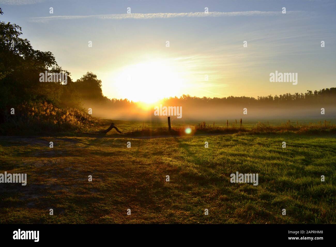 Beautiful sunny morning. Sun shining through the trees, drops of dew on ...
