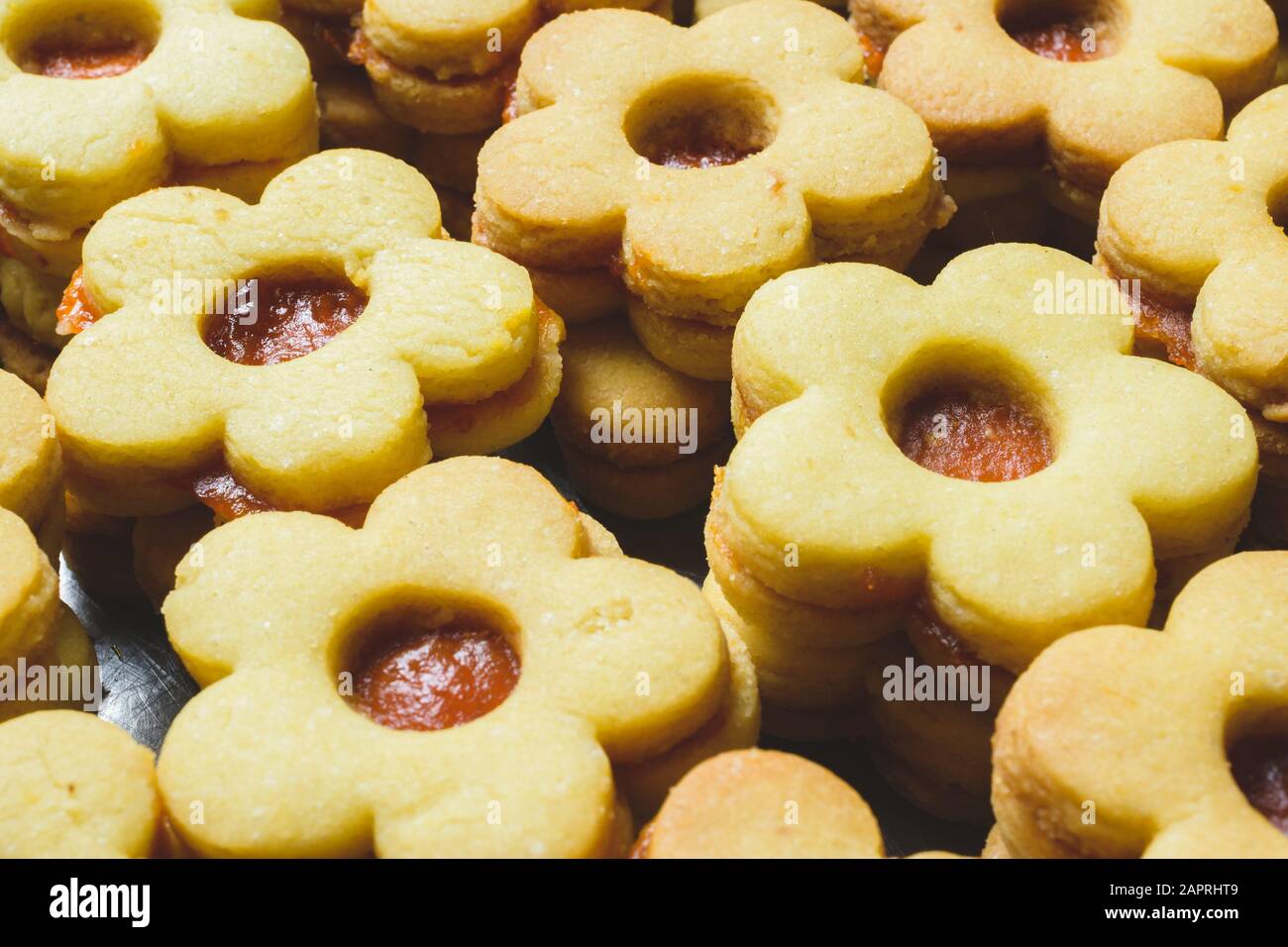Chookies hi-res stock photography and images - Alamy