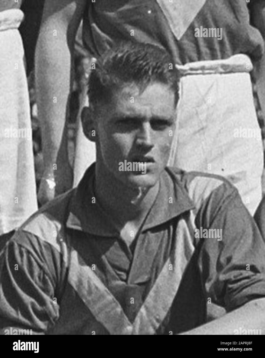 Dutch ruud hi-res stock photography and images - Alamy