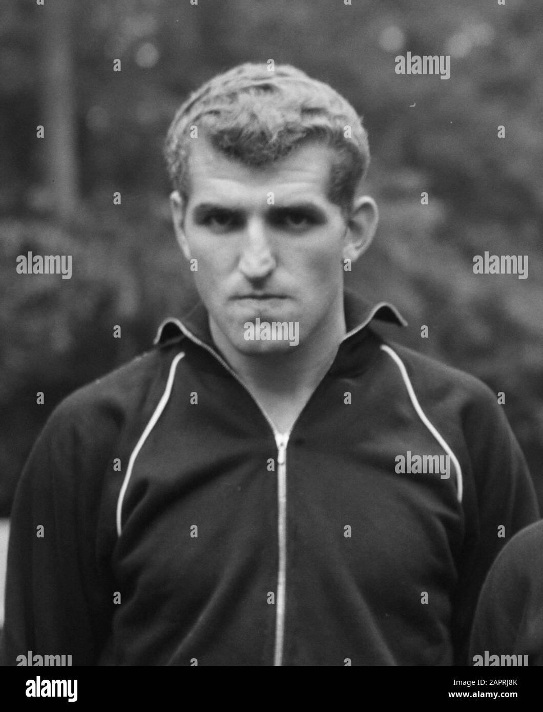 Bosveld High Resolution Stock Photography and Images - Alamy