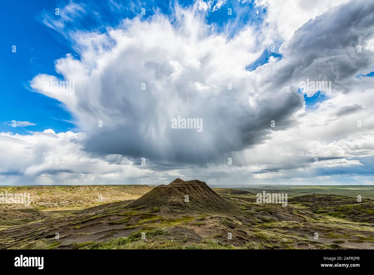 Vast landscape stretching to the horizon in Grasslands National Park ...