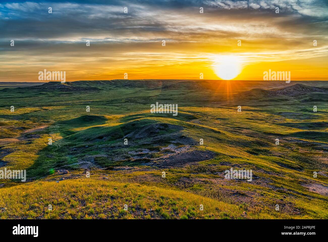 Saskatchewan Landscape Sunset
