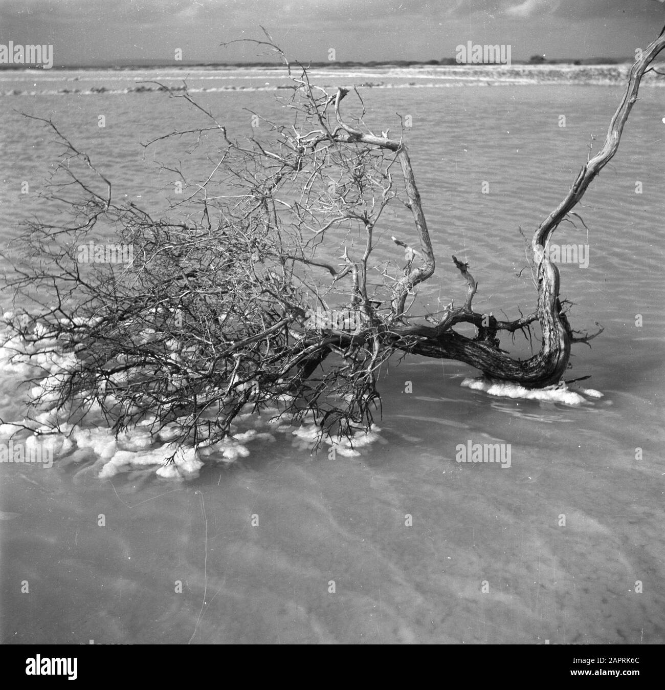 Journey of the dead Black and White Stock Photos & Images - Alamy