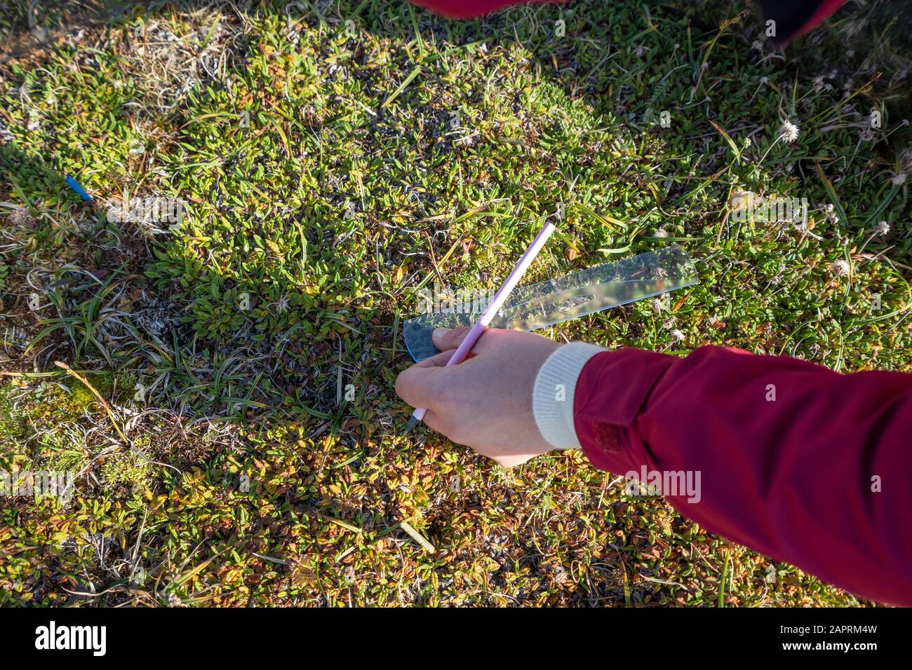 High angle shot of a person doing measurements with a pen and a ruler ...