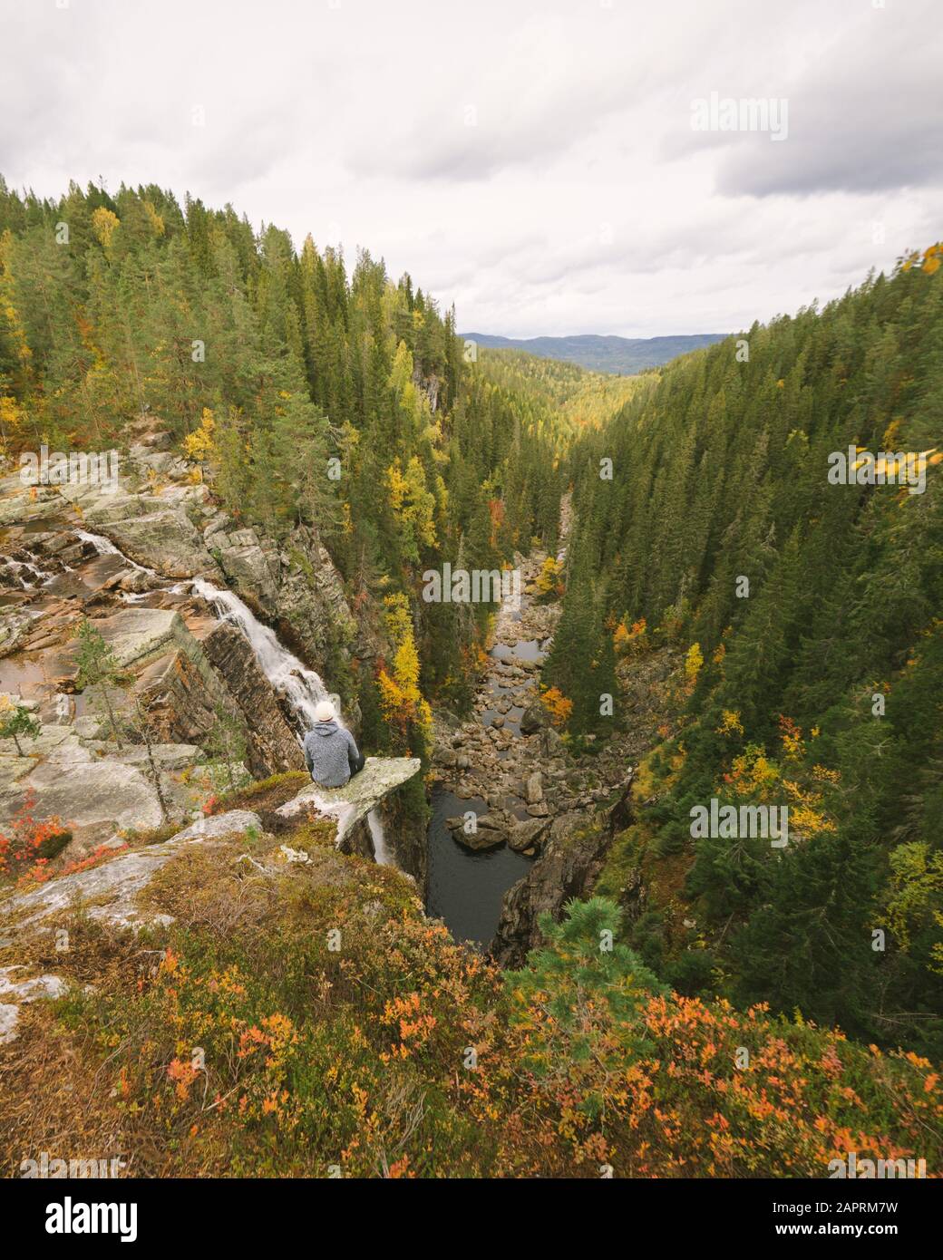 Vertical high angle shot of a beautiful landscape with a lot of green ...