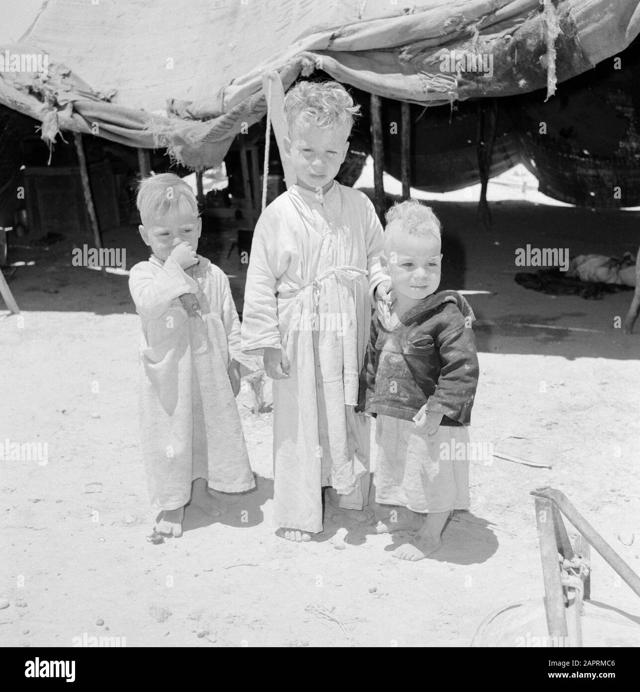 Israel negev desert bedouin tent hi-res stock photography and images ...