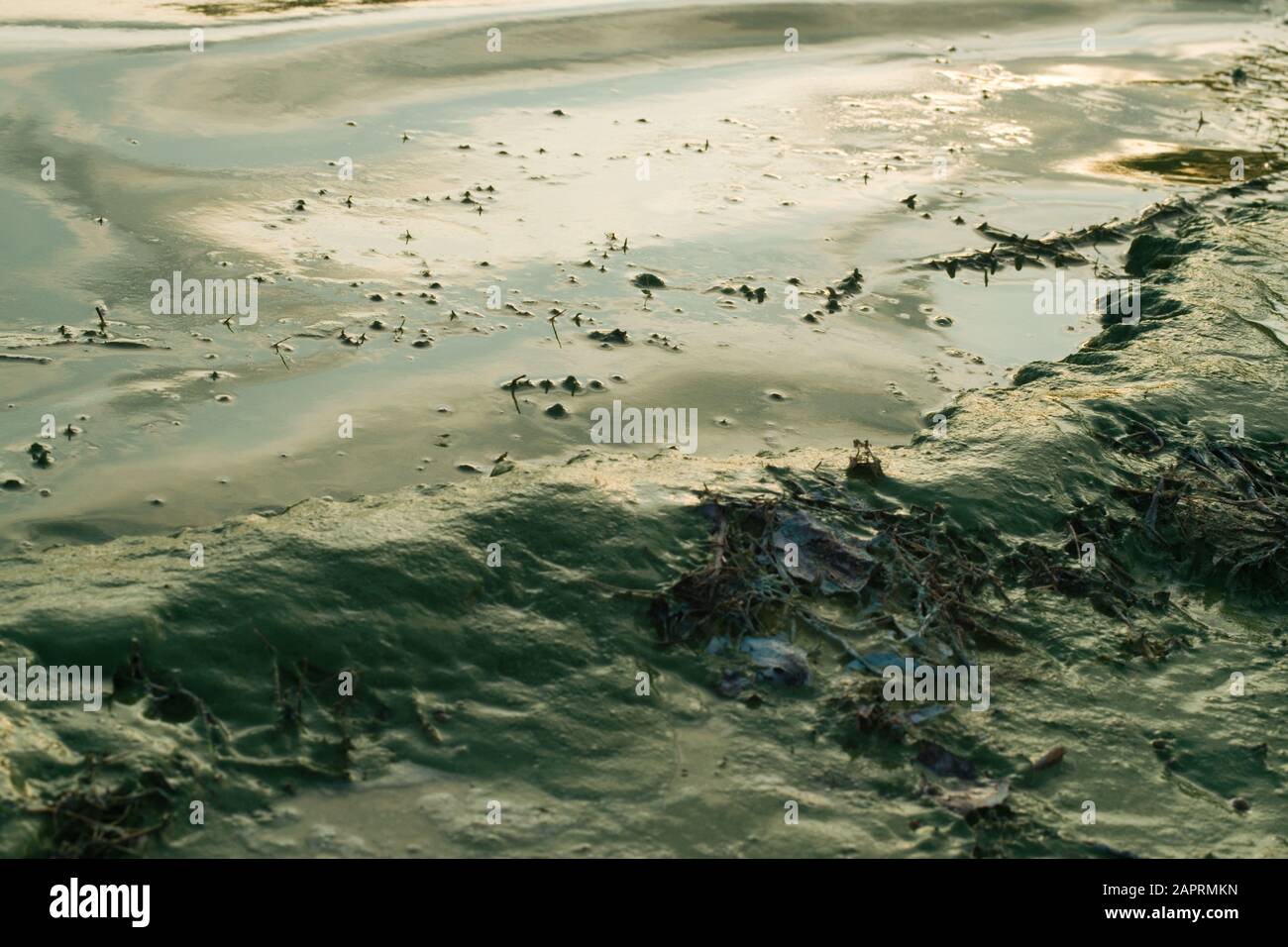 Dirty beach landscape full waste hi-res stock photography and images ...