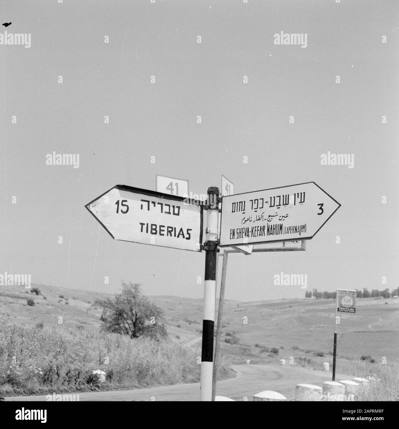 Israel: Kapernaum Trilingual signpost pointing in the direction of ...