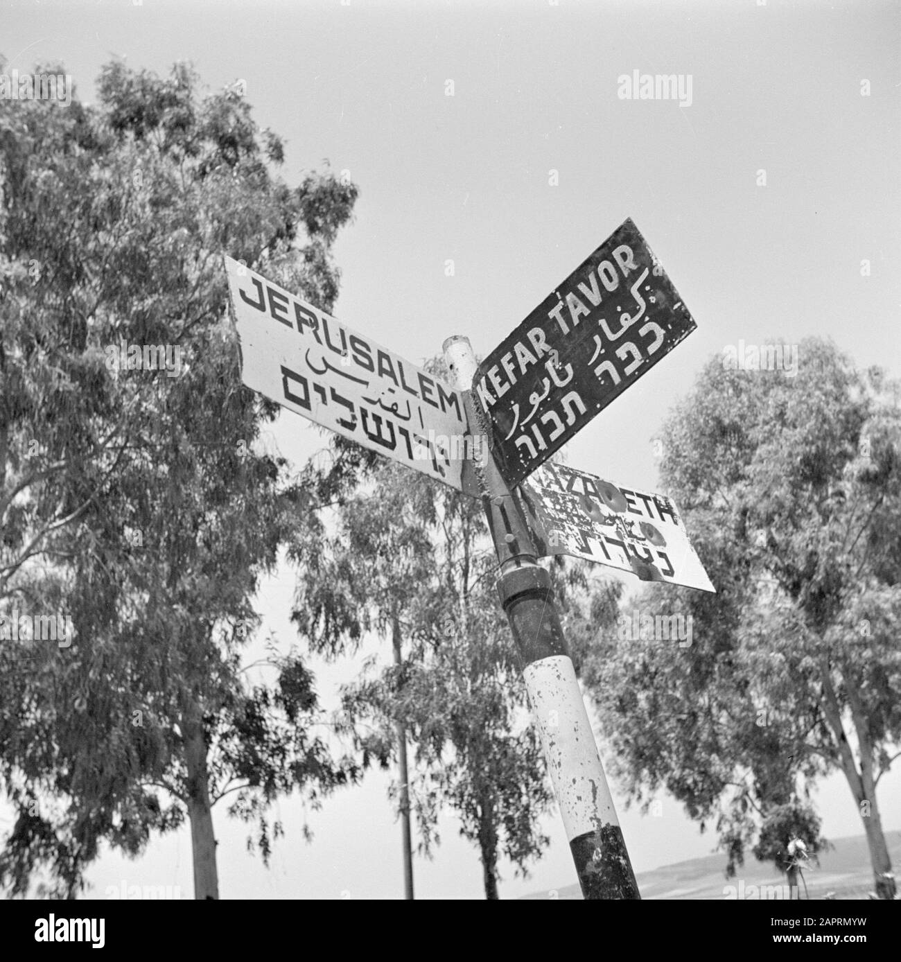 Israel 1948-1949: signpost Trilingual signpost with bullet holes ...
