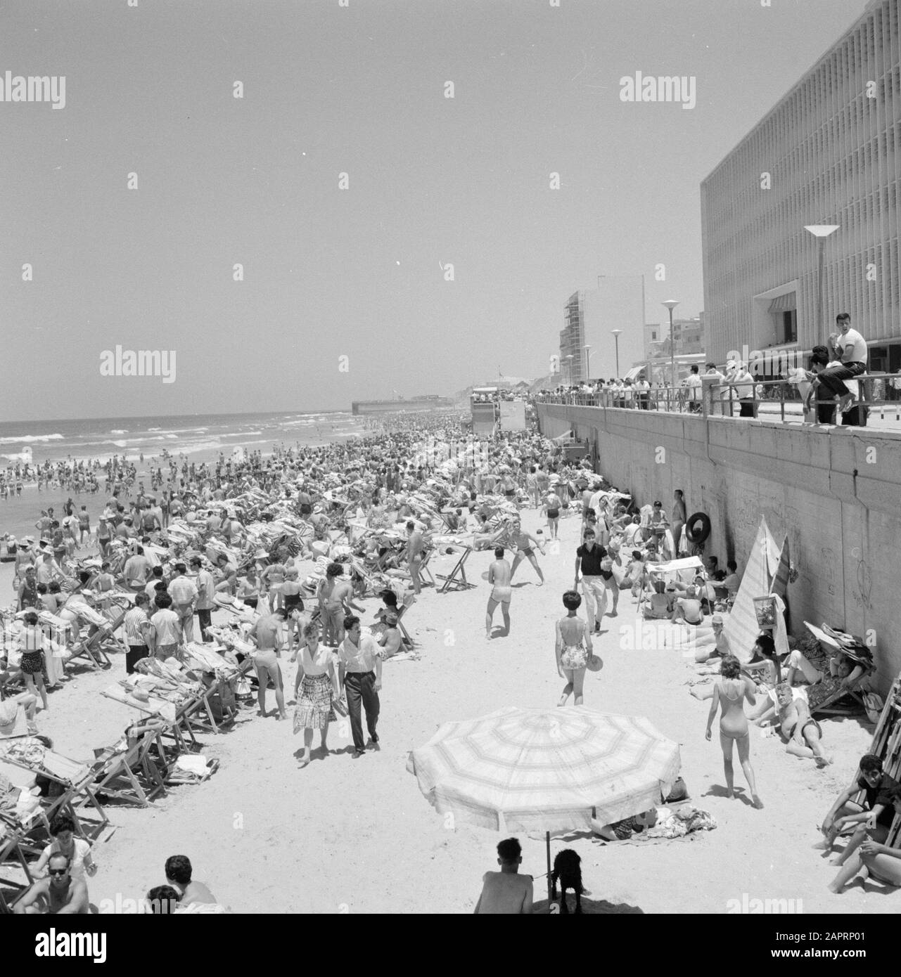 Israel 1964-1965: Tel Aviv, on the Sabbath to the sea Busy beach with ...