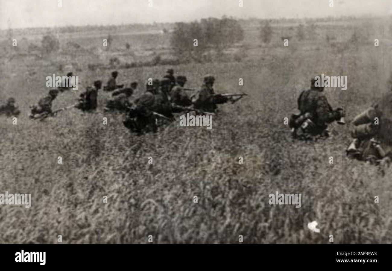 Spaarnestad Photo/SFA022803836 World War II, Eastern Front land war ...