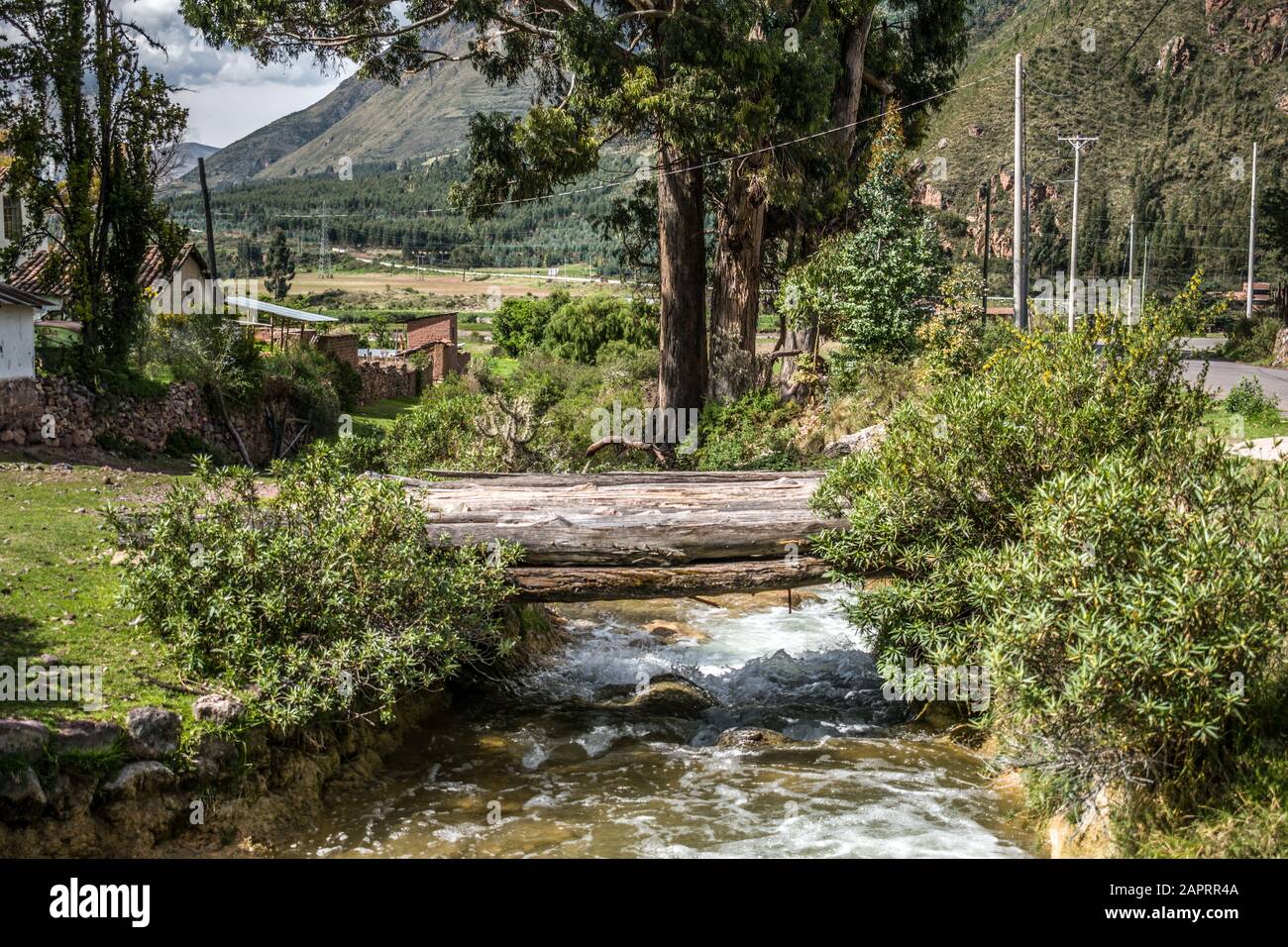 river near tree and bushes Stock Photo - Alamy