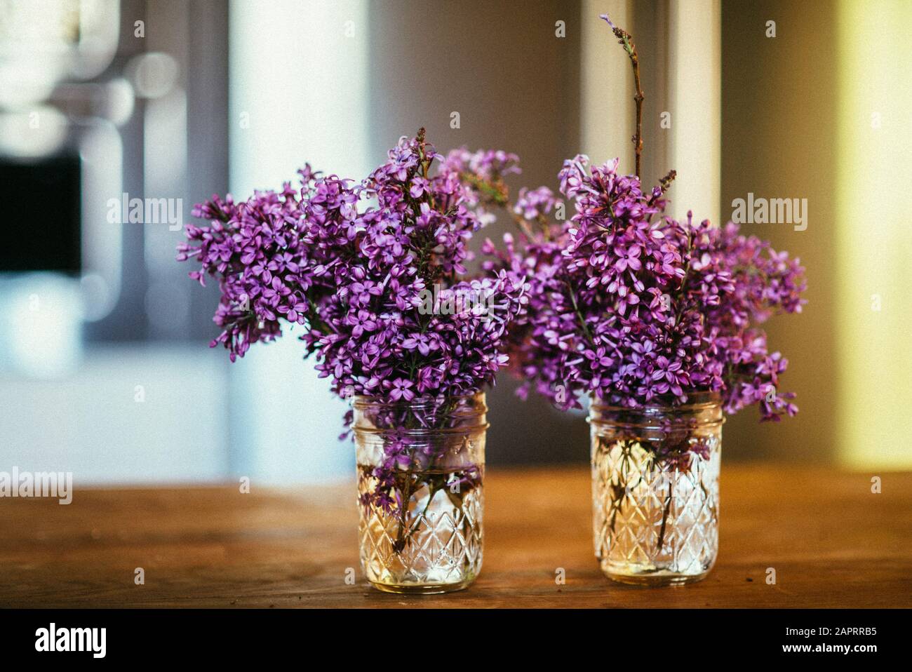 Lilac In Mason Jar on the Kitchen Counter Stock Photo - Alamy