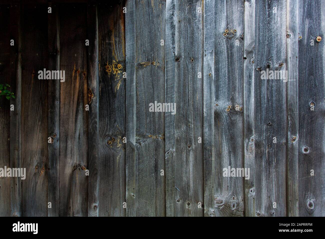 Closeup shot of old wood fence panel texture Stock Photo - Alamy