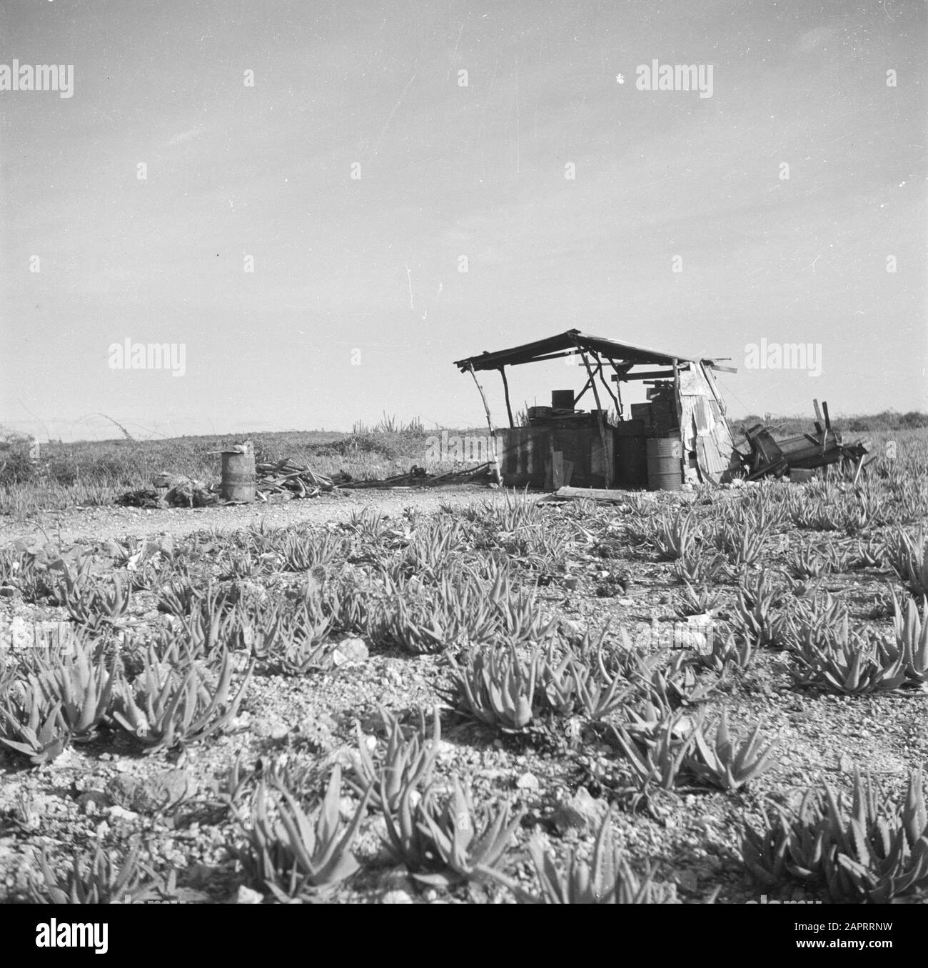Farm on tour Black and White Stock Photos & Images - Alamy