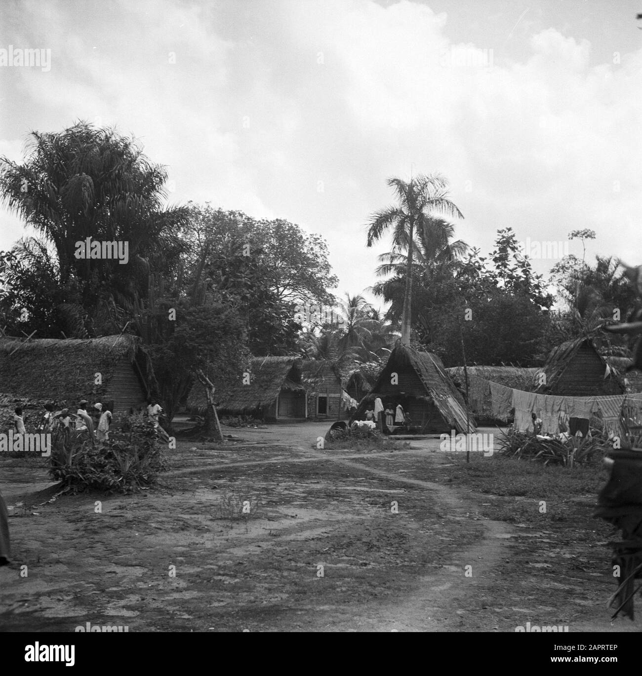 Travel to Suriname and the Netherlands Antilles A forest farm village ...