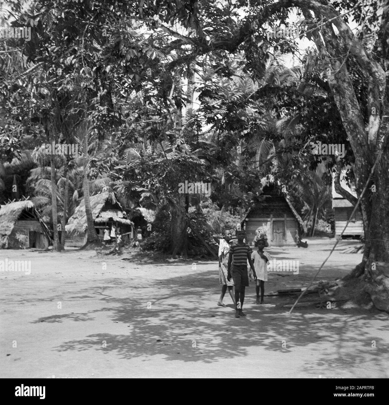 Travel to Suriname and the Netherlands Antilles A forest farm village ...