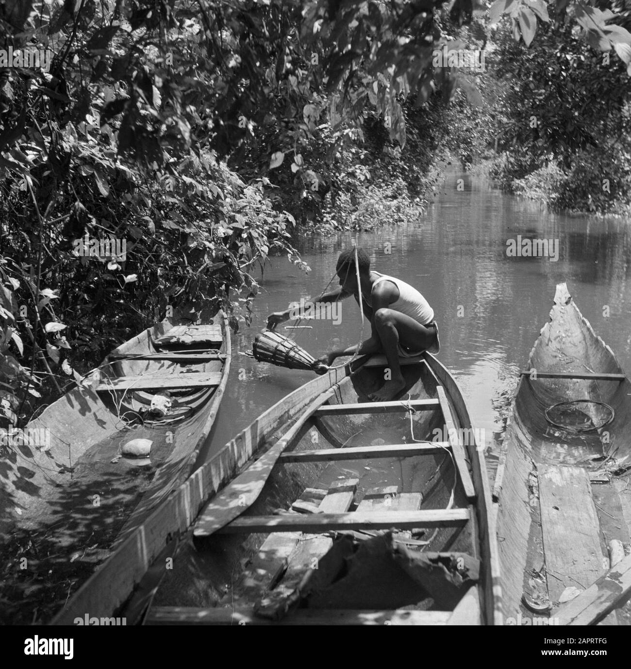 Travel to Suriname and the Netherlands Antilles A forest farm sets fish ...