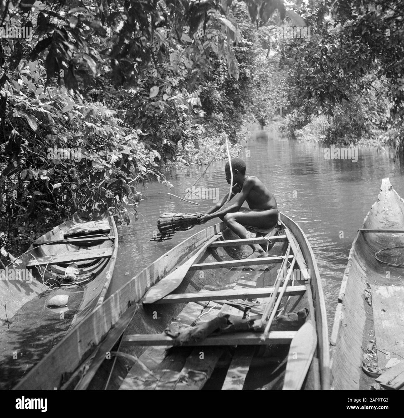 Travel to Suriname and the Netherlands Antilles A forest farm sets fish ...