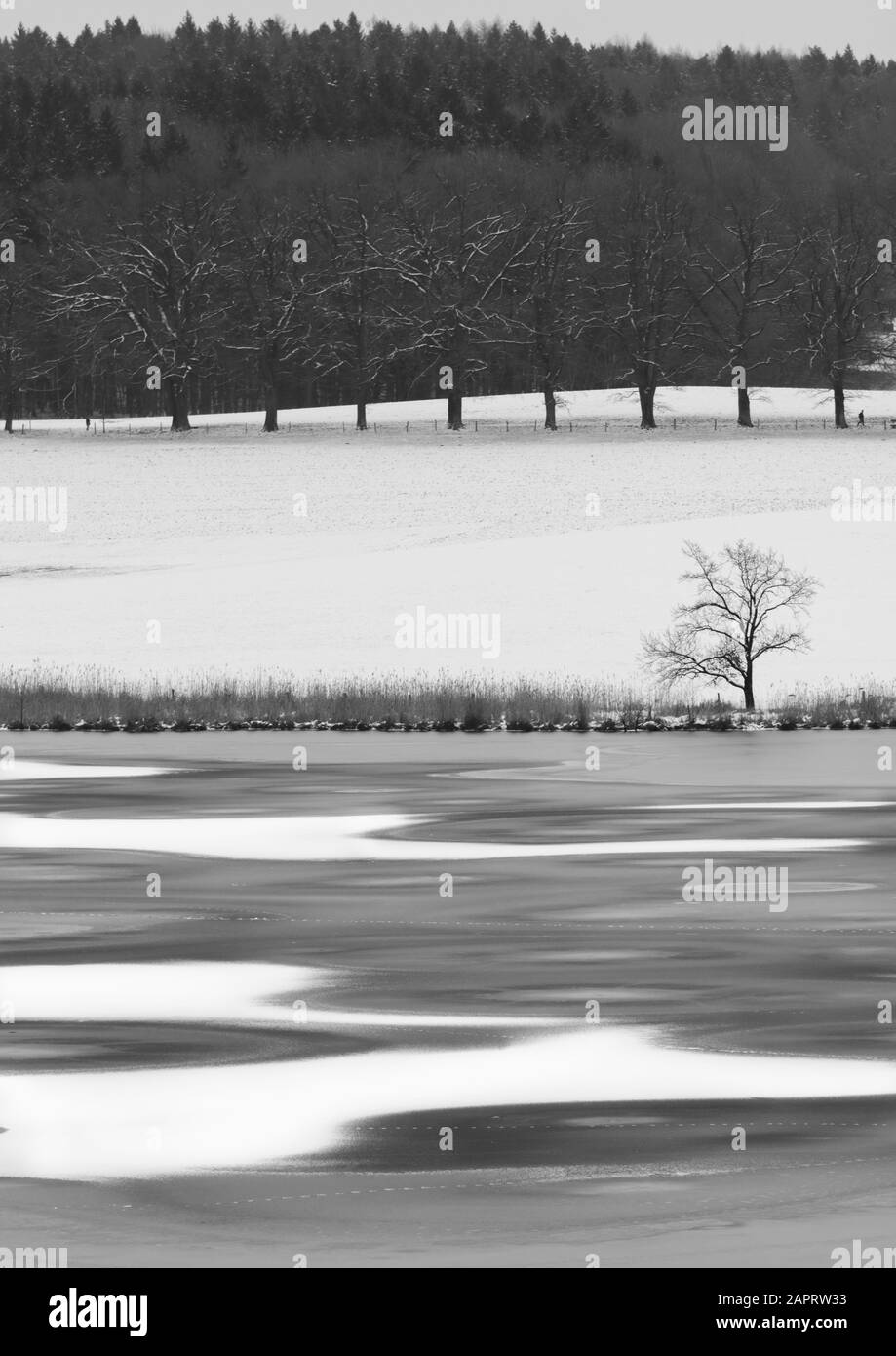 Scenic vertical landscape pine Black and White Stock Photos & Images ...