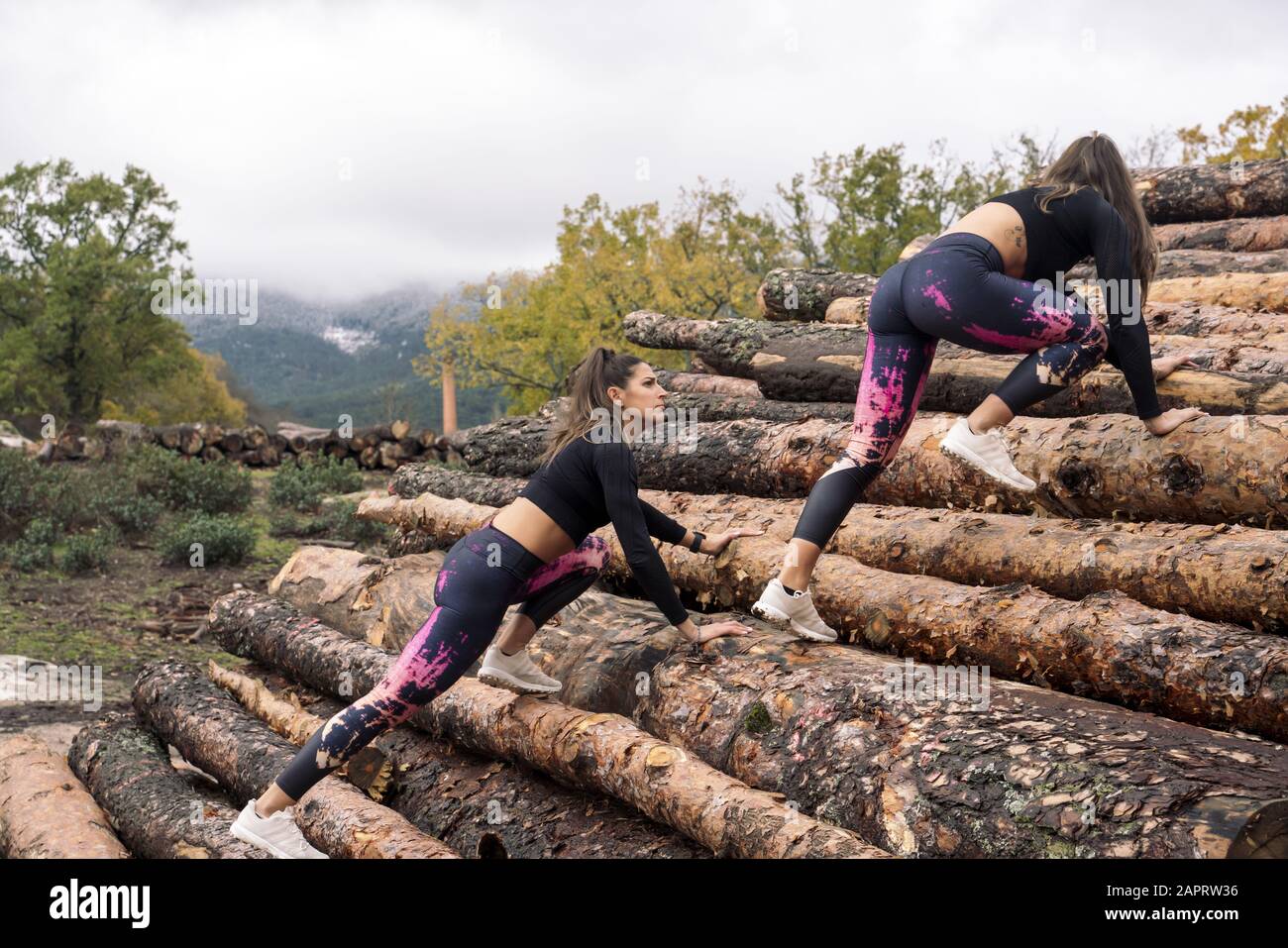 Routine logs hi-res stock photography and images - Alamy