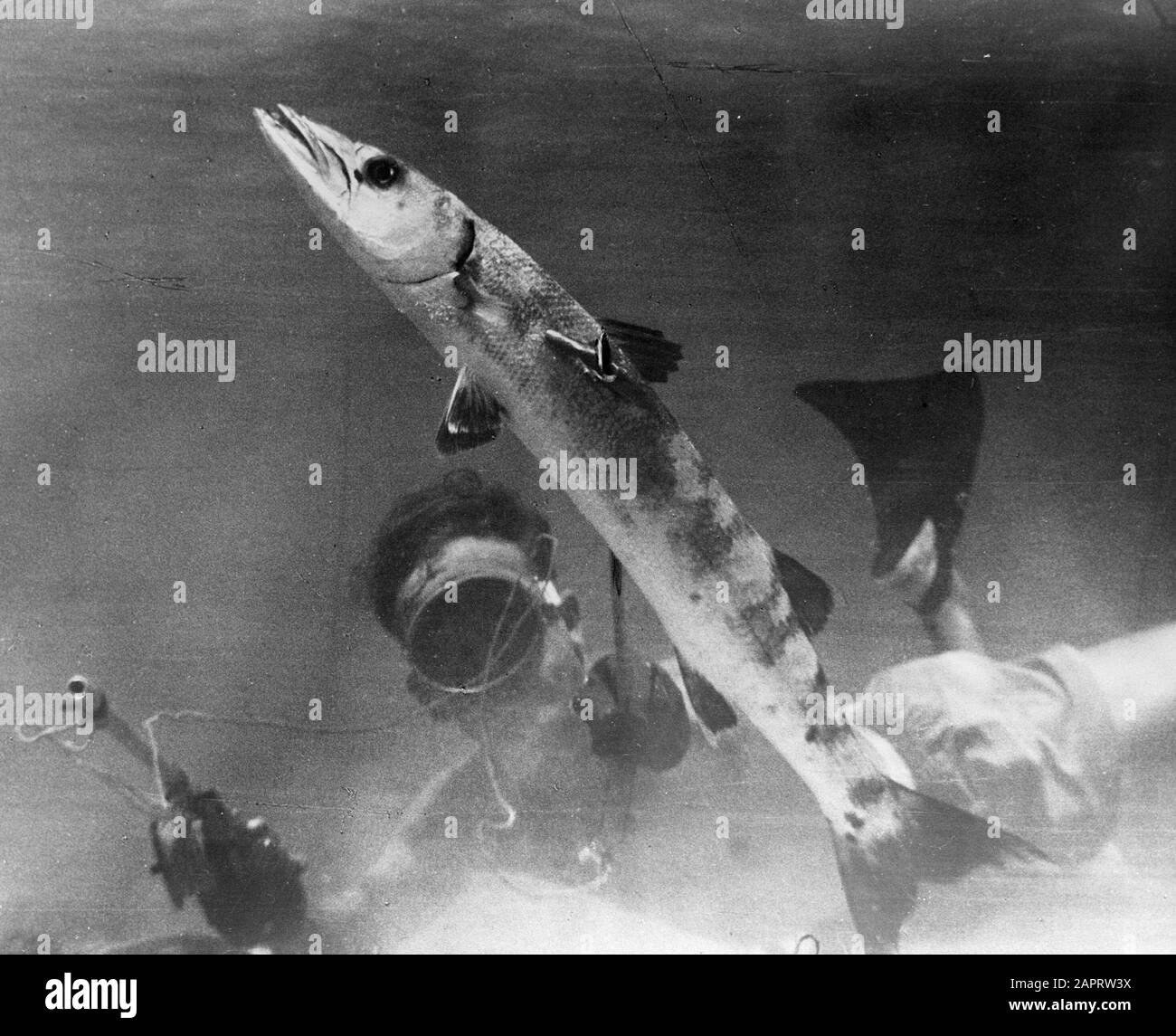 Dutch Antilles and Suriname at the time of the royal visit of Queen ...